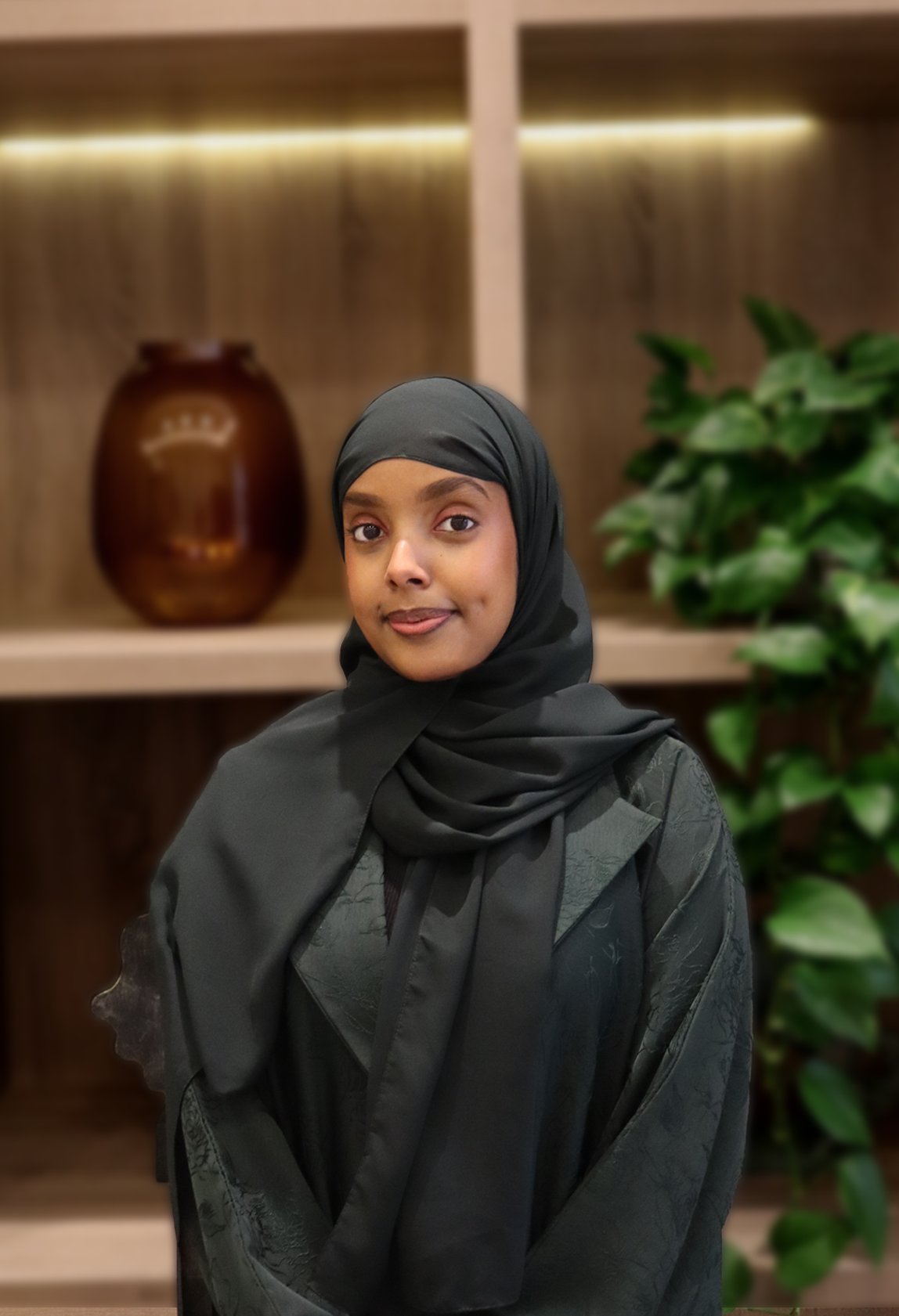 Strategy Hub - About Us